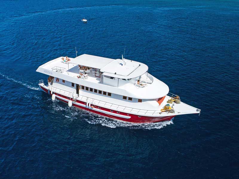 Assidha | Surf Charter Boat Maldives | The Ocean Spell