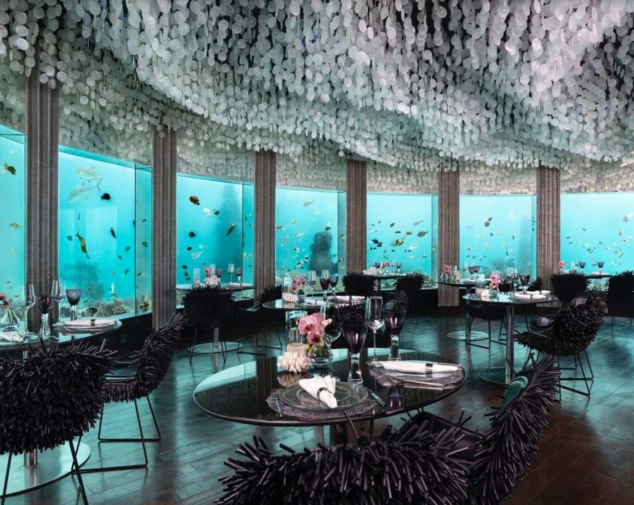 Niyama Private Islands | Maldives Surf | The Ocean Spell